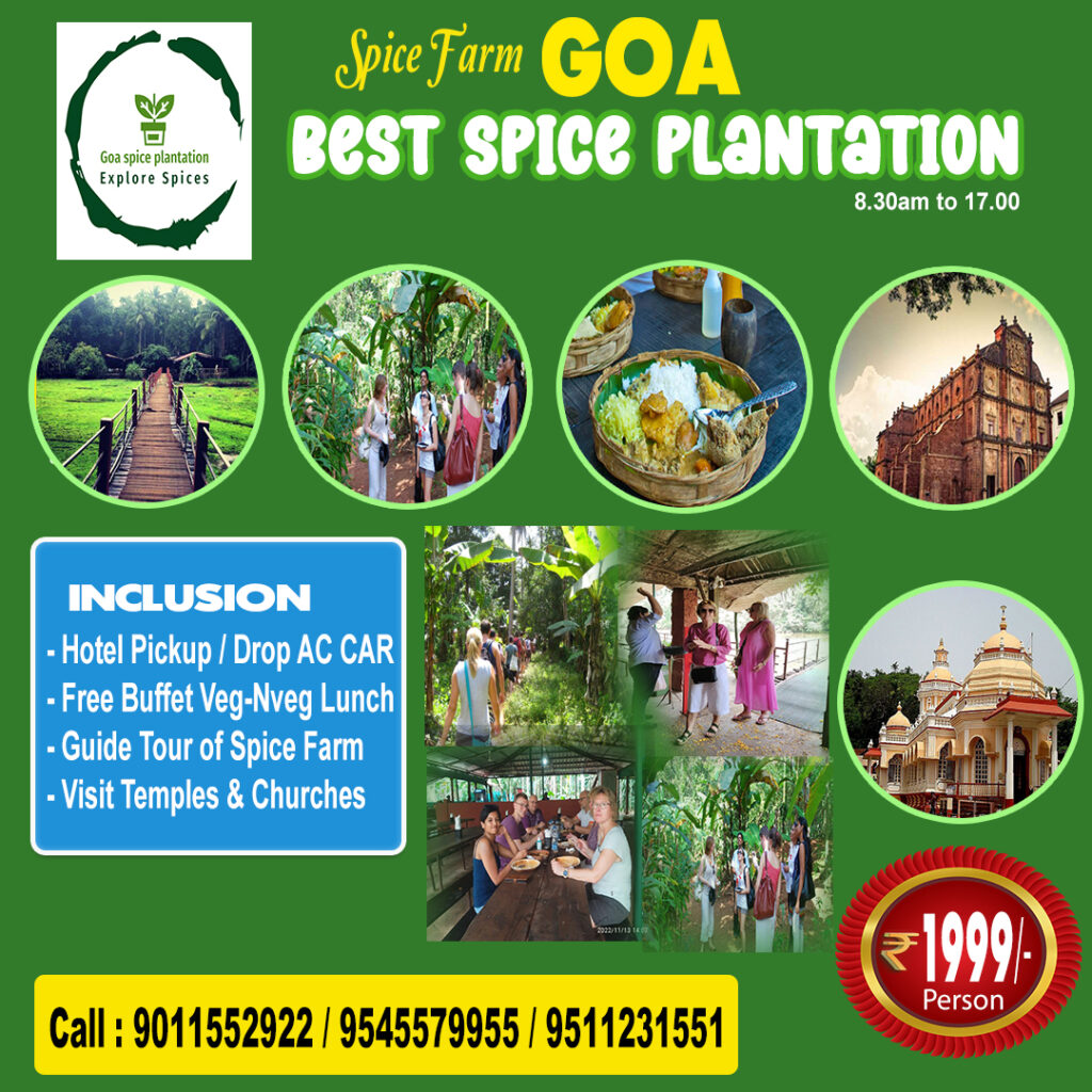 Best Spice Plantation Tour in Goa | Must Visit Spice Plantations in Goa ...